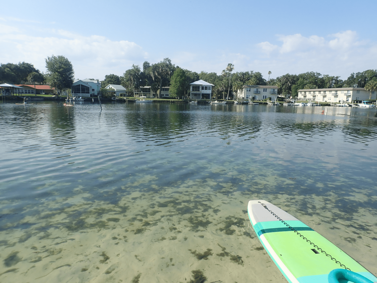Stand Up Paddleboard Adventure and Manatee Encounter - NatureCoaster.com