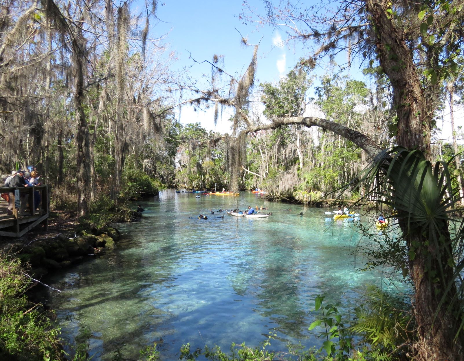 Three Sisters Springs - NatureCoaster.com