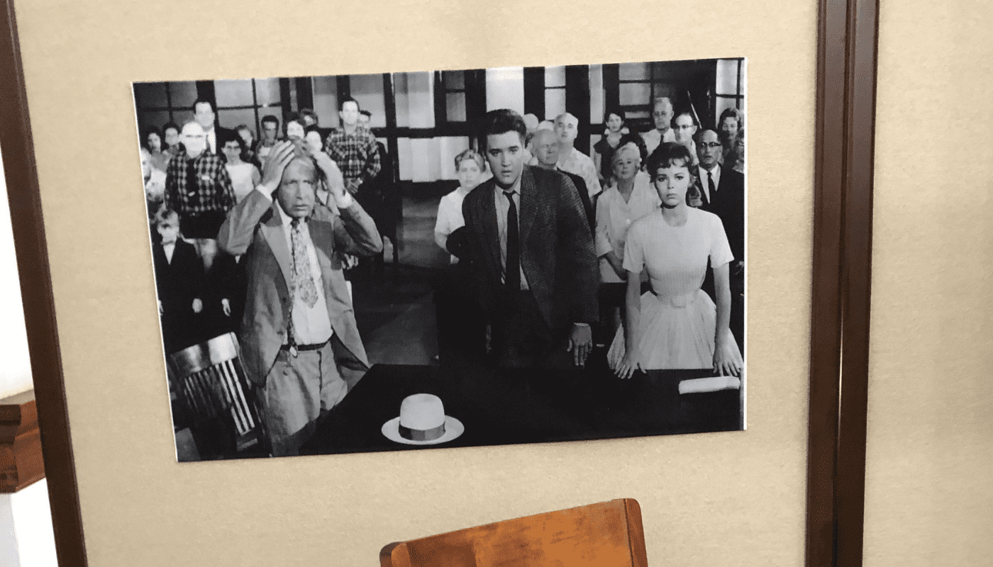 Chasing Elvis on Florida's Nature Coast - NatureCoaster.com