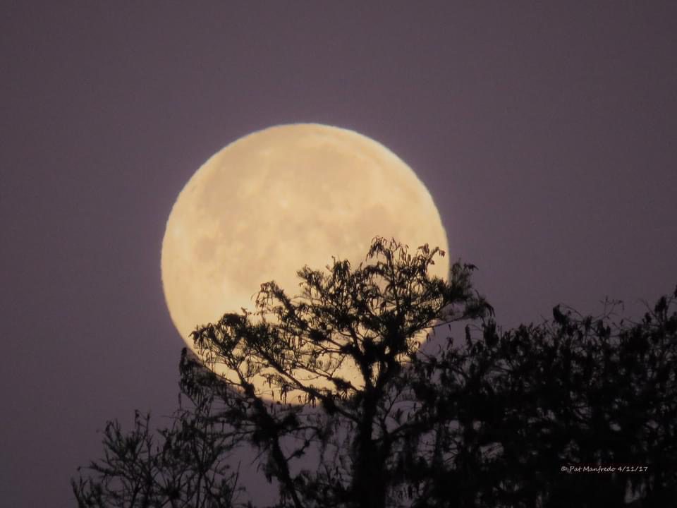 Full Moon Rising - NatureCoaster.com